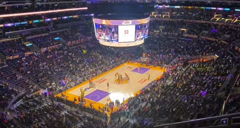 Basketball Positions: 5 Main & 4 Hybrid Positions Explained | BUS